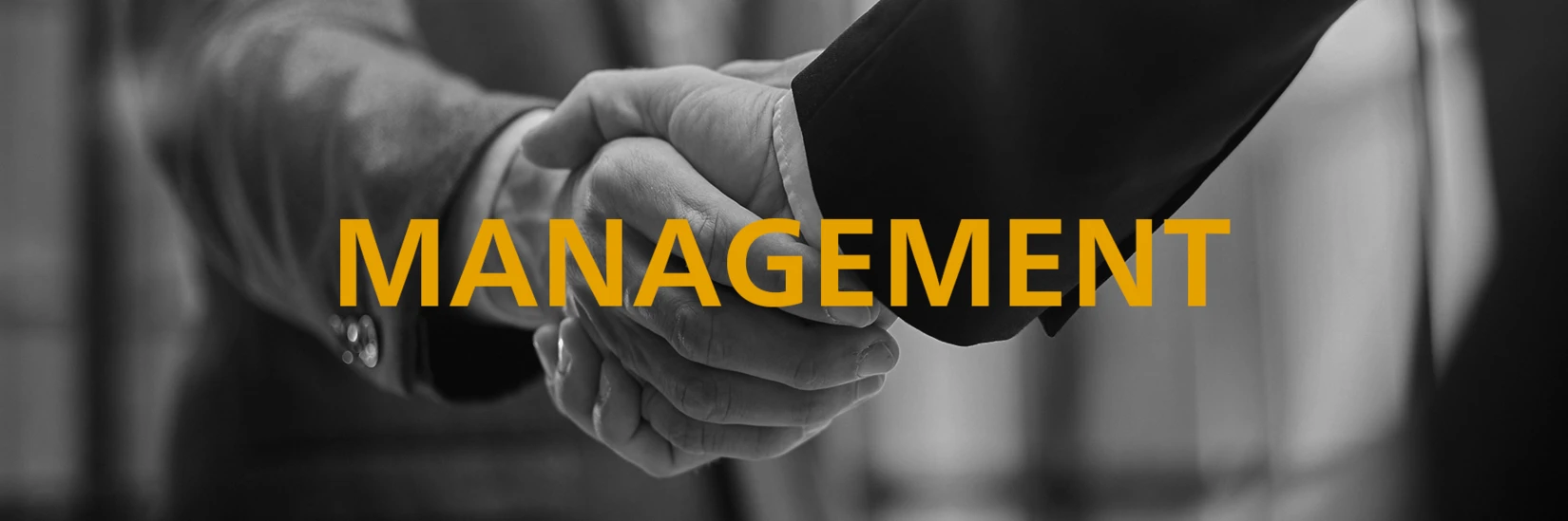 Management - NETZSCH Group